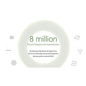 Rockwood Plant Air Purifier