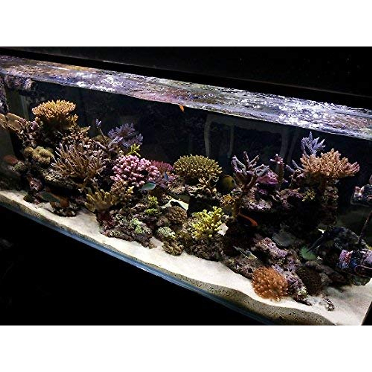 KZKR LED Aquarium Hood Lighting 72-78 inch Fish Tank Light Lamp for Freshwater Marine Saltwater Blue and White Decorations Light 6-7ft (34W) 180cm - 200cm