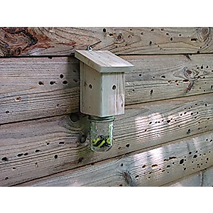 Carpenter Bee Trap Lure Attract More Bees to Your Traps All Natural Wood Bee Attractant