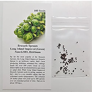 David's Garden Seeds Brussels Sprouts Long Island Improved FBA-1443 (Green) 50 Non-GMO, Heirloom Seeds
