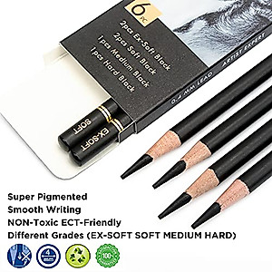 Brusarth Professional Charcoal Pencils Drawing Set 6 Pieces (Ex-Soft, Soft, Medium, & Hard) Charcoal Pencils for Drawing, Sketching, Shading, Artist Pencils for Beginners & Artists
