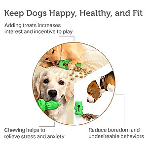 LEE BONBON Owl Interactive Dog Toy - Cute Rubber Enrichment Toys with Food Dispense for Medium and Large Breeds - Indestructible Pet Chew Plaything for Training, Boredom, Fun Playing, Tooth Care