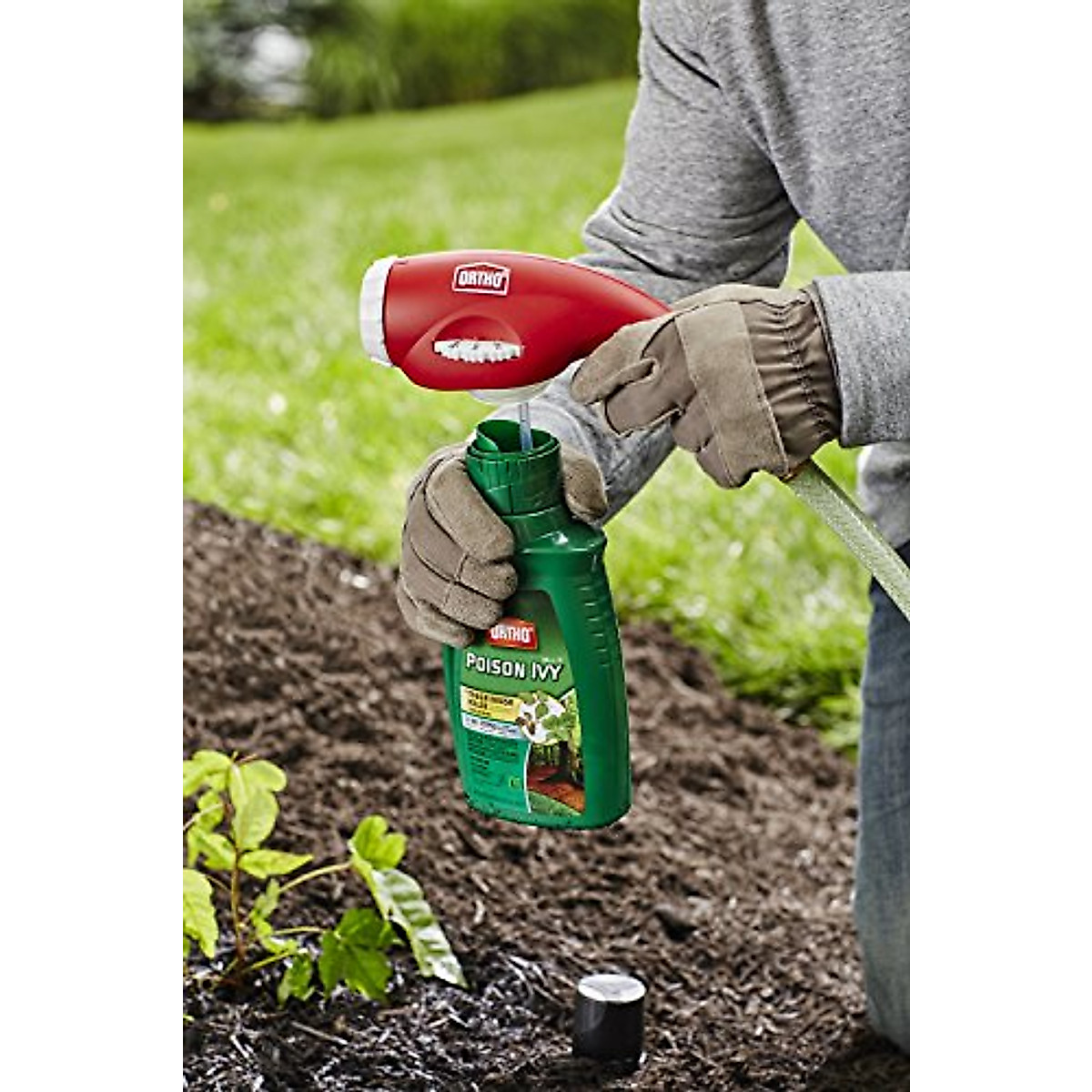 The Scotts Ortho Max Poison Ivy Tough Brush Killer, 32-Ounce