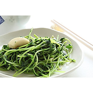 Back to the Roots 810667030377 Microgreen Bundle Sunflower & Organic Pea Shoot Seeds, Certified Organic, 0.56 Ounce (Pack of 6)