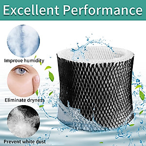 SUNRRA HWF64 Humidifier Filter for Sunbeam Humidifier Filter B, SCM1746, Long-Last & Sturdy, Fits Holmes HM1746, HM-1745 and Bionaire BWF64, 3 Pack