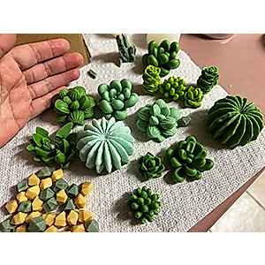 Navani Succulent Silicone Mold, Cactus Resin Mold, Candle Mold Silicone for DIY Handmade Soap, Candle, Cake Decoration - 9 Pcs