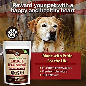 Dog Cardio Strength Heart Murmur Hawthorn Supplement Powder, Hawthorne for Dogs Vitamins for pet Heart Health| Made in USA - 4.0 OZ