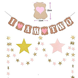 Birthday Decoration Set - Baby Partyr Crown, Girl/Boy 2st Birthday Party Hat Princess Tiara Hat Includes Cake Topper One "I Am One" and Star Banner Pink Hanging Paper Fan Flower Pink and White Balloons