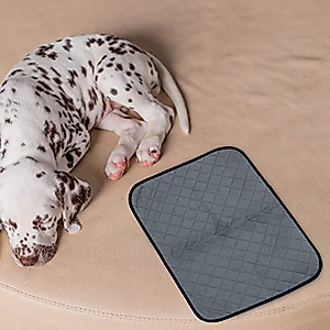 Guinea Pig Bedding 2pcs Hamster Bedding Washable Pee Pads Super Absorbent Pet Mat Small Animal Sleep Cushion Chinchilla Cage Accessories for Small Animals Supplies