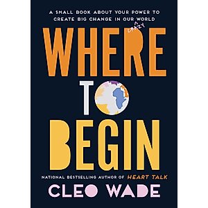 Where to Begin: A Small Book About Your Power to Create Big Change in Our Crazy World