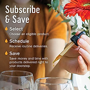 Herb Pharm Kids Certified-Organic Alcohol-Free Black Elderberry Glycerite Liquid Extract, 1 Ounce (GLKELD01)