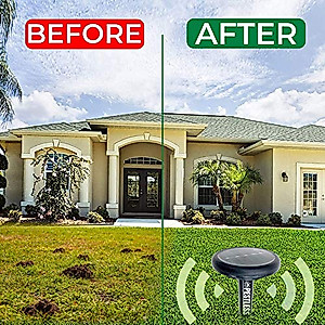 Pestless Upgraded Ultrasonic Pest Repeller - Deterrent for Moles, Gophers, Snakes, Mice - Safe, Humane, Solar Powered Outdoor Rodent Repellent for Garden, Lawn, Yard (4)