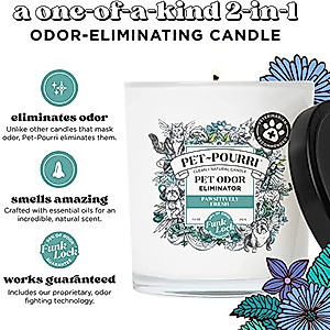 Pet-Pourri Pet Odor Eliminator Candle, Pawsitively Fresh, 7.5 Oz - Jasmine, Fresh Air and Pear (Veterinarian Recommended)