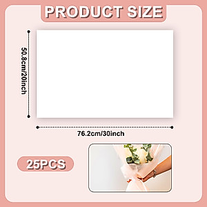 25 Sheets Acid-Free Tissue Paper, 20 x 30 Inch Acid-Free Archival Tissue Paper Wrapping Tissue Paper Acid Free Paper for Storage Wrapping Paper for Protecting Clothing and Linen Gifts