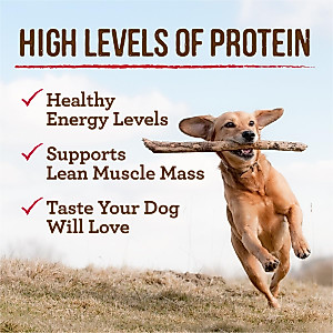 Merrick Grain Free Wet Dog Food, Premium And Wholesome Gluten Free Canned Adult Dog Food, Cowboy Cookout - (Pack of 12) 12.7 oz. Cans