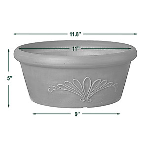 Arcadia Garden Products PSW Pot TA30TP Collection Shallow Bulb Pan Planter Dish Low Bowl for Succulents, Bonsai, Fairy Gardens, Herbs, 12-inch, Taupe