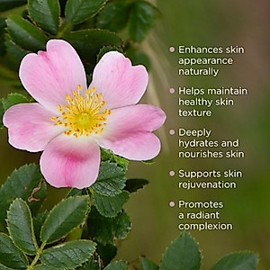 FULL OF NATURE FUNAT 100% Pure Rosehip Seed Oil for face and skin 0.3 fl oz - 100% Puro Aceite de Rosa Mosqueta para rostro y piel