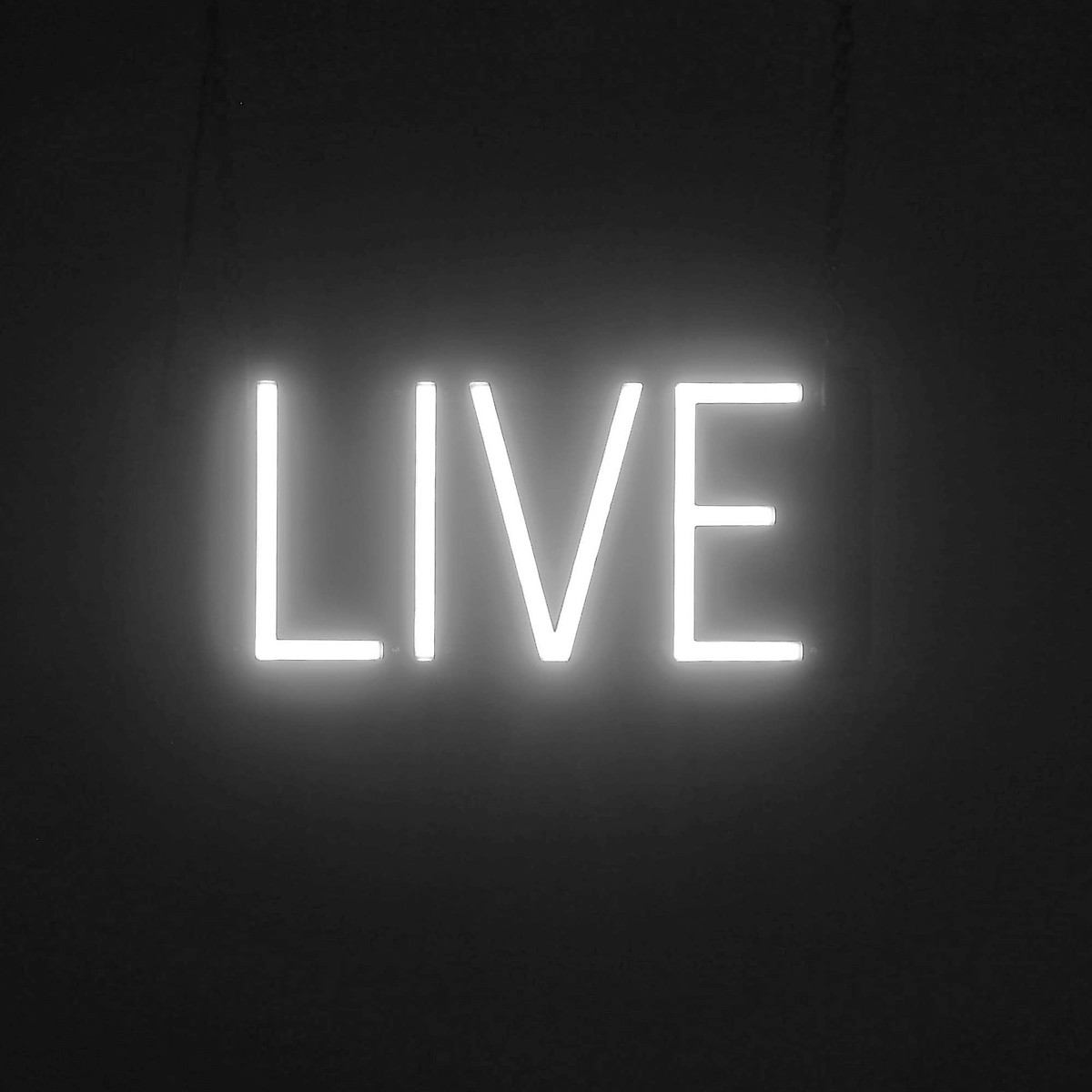 SpellBrite LIVE Sign for Businesses | Broadcasting-Related Signs with Neon Look, White LED Light | 13.7" x 6.3"