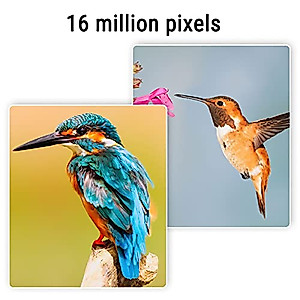 Digital Camera 16MP 2.4 Inch LCD Screen 16X Digital Zoom 720P D Small Camera igital Camera for Teens Students Boys Girls Seniors