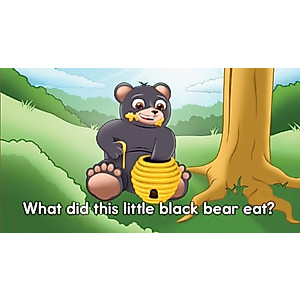 Sight Words Level 2 DVD by Rock 'N Learn: 65+ words includes all primer Dolch words and many Fry words