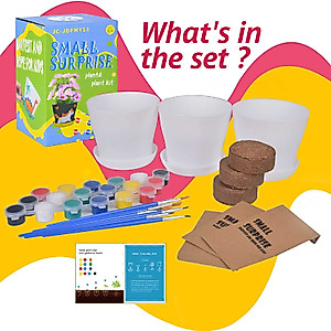 JC-JDFMY11 Paint & Plant Flower Planting Growing Kit - Kids Gardening Birthday Drawing Toys -Crafts for Girls & Boys - STEM Art & Handicraft Project Activities,Arts and Crafts for Kids 6,8-12