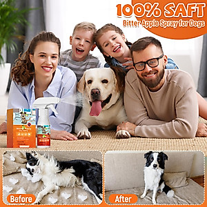 JARMAPOZ Bitter Apple Spray for Dogs to Stop Chewing, Anti Chew Behavior Training Aid for Dogs and Cats, Bitter Yuck Spray for Dogs Prevent Chewing Licking of Bandages, Paws, Shoes, Fur and Furniture