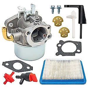 798653 Carburetor for Briggs & Stratton 791077 696981 698860 698474 791991 694174 591299 Craftsman Carb