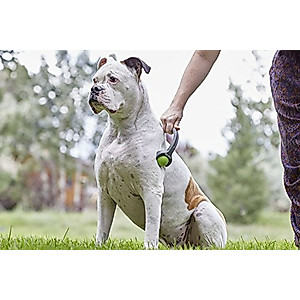 PetWell Dual Point Handheld Massage Roller Pets (Dogs, Cats)