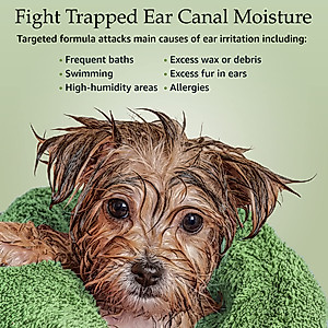 Prime Paws Cat & Dog Ear Cleaning Solution - Otic Ear Solution for Dogs - Liquid Flush for Soothing Itchy Ears & Effective Otic Care - Cucumber Melon Scent - 8 oz, White (PRIM1033)