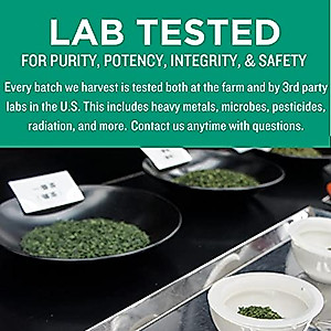 Jade Leaf Matcha Artisanal Green Tea Powder - Premium Second Harvest Culinary Grade - Authentic Japanese Origin (1 Pound Pouch)