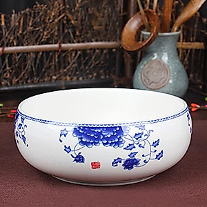 GANAZONO 1 Set Ceramics Water Lily Bowl with Stand Hydroponic Planter Pot Round Narcissus Flowerpot Bonsai Daffodil Pot Garden Decoration