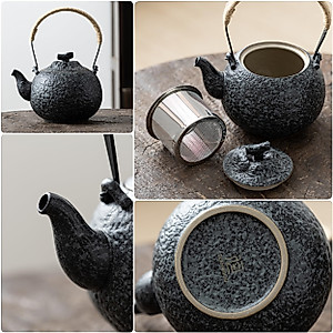 TEANAGOO Portable Japanese Tea Set, Charcoal Grey Travel Porcelain Tea Set, 1 Teapot (700ml/25oz) + 4 Tea Cups(205ml/7.2oz), U2, Tea Tray Storage Case, Beautiful Asian Tea Set for Adults