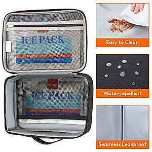 Lifewit Freezable Lunch Box, Insulated Reusable Lunch Bag with 2 Ice Packs, Mini Cooler Snack Bag for Bento Box for Salad, Sandwich, Snacks for Boys/Girls/Men/Women for School/Work/Daycare, Black