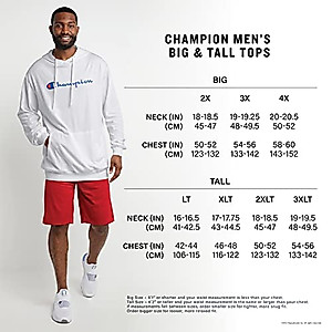 Champion Men's Hoodie, Powerblend, Fleece Striped Sweatshirt for Men (Reg. or Big & Tall)