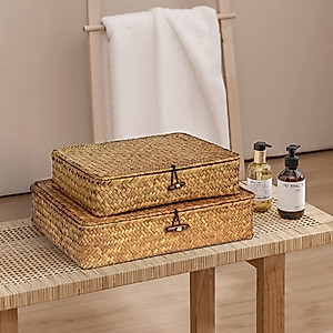 FOSSORH Set of 2 Flat Seagrass Storage Bins with Lid Wicker Storage Baskets for Organizing, Woven Shelf Organizer Bins Home Utility Organizer Box for Home & Office Supplies (Caramel)