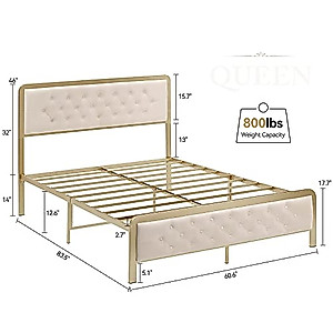 Amyove Golden Queen Size Bed Frame,Upholstered Bed Frame with Button Tufted Headboard,Heavy Duty Metal Easy Assembly,No Box Spring Needed (Beige, Queen)