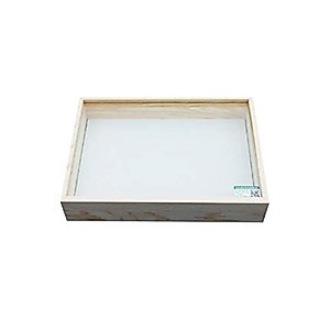 balacoo Specimen Box Insect Display Case Display Shadow Box Frame Entomology Supplies for Insect Butterfly Specimen Display Collages Collections