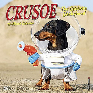 Crusoe the Celebrity Dachshund 2021 Mini Wall Calendar (Dog Breed Calendar)