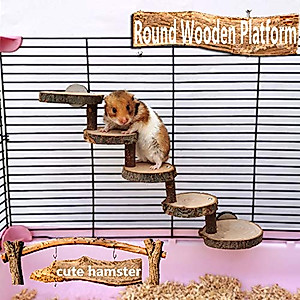 LOVEIFE 3 Pack Bird Perch, Round Wooden Platform Parrot Toys Bird Cage Accessories (Style1)