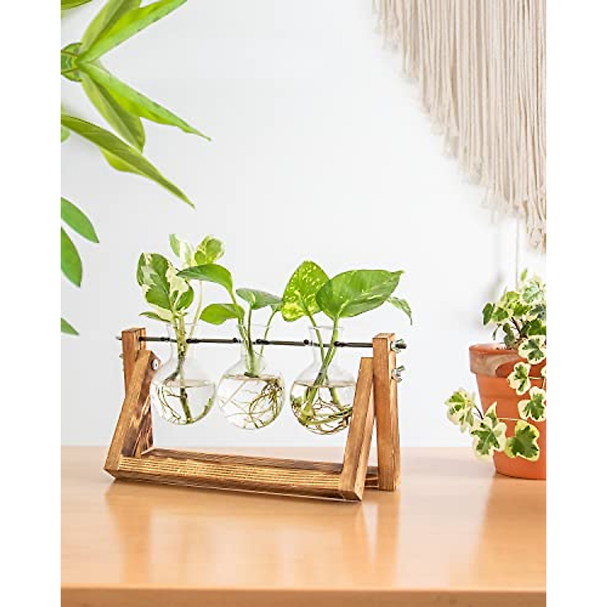 Ivolador Desktop Propagation Station, Bulb Plant Terrarium with Retro Solid Wooden Stand and Metal Swivel Holder for Hydroponics Plants Home Garden Wedding Decor (3 Bulb-C Type)