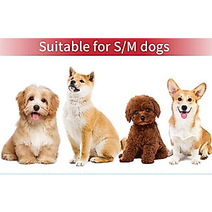 Patchy's Pets Puppy and Small Dog Toothbrush Dental Chew Toy Bone, Teeth Cleaning, Teething, Flexible Durable Rubber Dog Toys, Small Treat Holder, Improved Material (Light Pink)