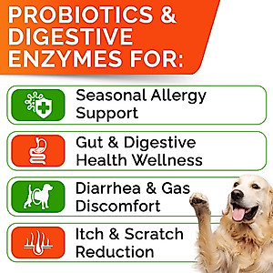 STRELLALAB Pet Probiotics for Dogs & Digestive Enzymes + Digestion & Gut Health Treats, Dog Probiotics Chews, Fiber Supplement, Anti Diarrhea, Constipation, Upset Stomach&Gas Relief, Canine Prebiotic