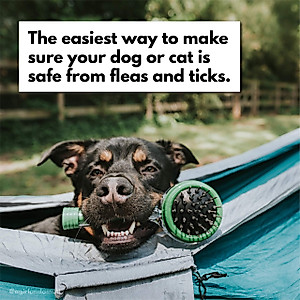 Cedarcide Flea + Tick Pet Brush (4 oz Pack) | Durable Grooming Brush Effectively Applies Cedarcide Original Biting Insect Spray to Kill + Repel Fleas Ticks & Mosquitoes |for Cats and Dogs