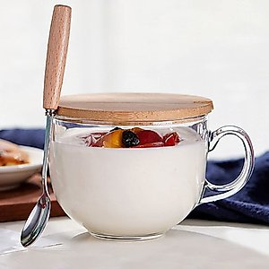 Aoderun Large Glass Coffee Mugs 15oz Ins Style Glass Cups With Lids Spoon, for Cappuccino, Coffee Latte Cereal Ice Cream Mike Dishwasher and Microwave Safe (Premium Tempered Glass)