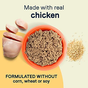 Canidae All Life Stages Premium Wet Dog Food for All Breeds, All Ages, Chicken & Rice Recipe, 13 oz. (Case of 12)