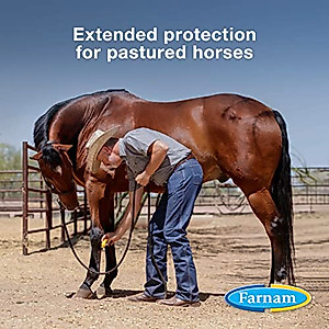 Farnam Equi-Spot, Horse Fly Control, Long-lasting Protection, 6 Applications, 12-Week Supply for One Horse