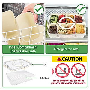Snack Box Container, Portable Travel Charcuterie Board with Lid, Refrigerator Food Storage Box, Snack Organizer, Divided Storage Containers, chopped salad box, Keep Food Fresh Longer (8 Grid)