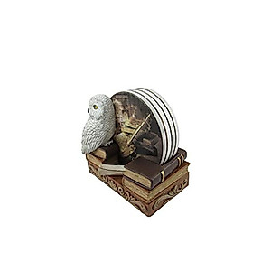 World of Wonders Spells & Potions Owl Coasters Set | Decorative White Owl Wizard School Decor | Absorbent Drink Coasters