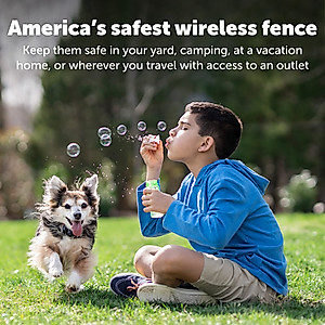 PetSafe Wireless Pet Fence Containment System Receiver Collar Only for Dogs and Cats Over 8 lbs., Waterproof with Tone and Static Correction - from The Parent Company of Invisible Fence Brand