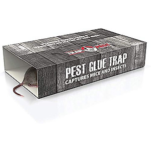 Sticky Mouse Traps Indoor for Home Ant Traps Indoor - Sticky Trap Indoor Home Bug Catcher Mice Traps for House Indoor Glue Traps Roach Trap Spider Traps for Inside Your Home (12 Traps)